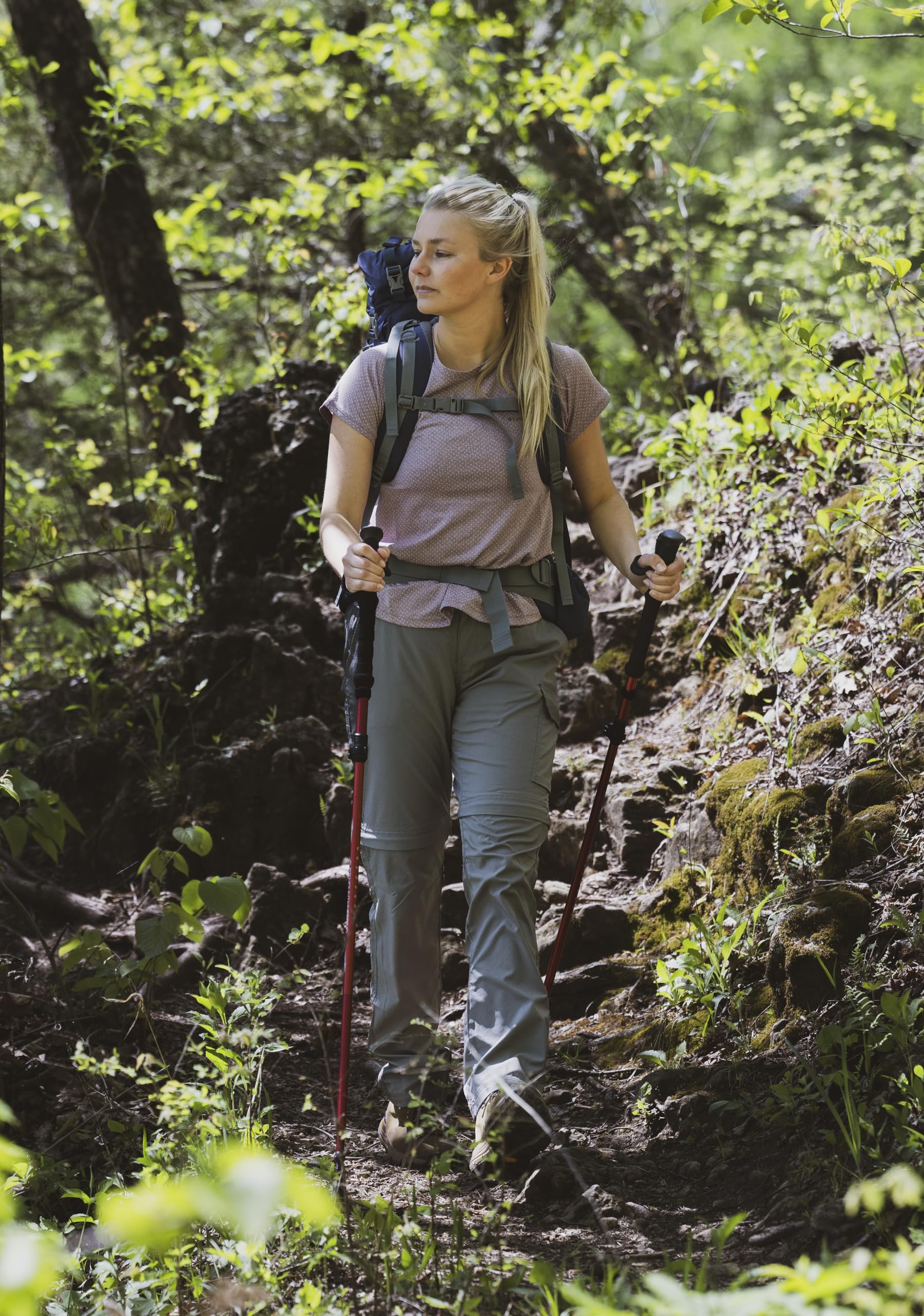 ALPS Mountaineering Momentum Trekking Pole
