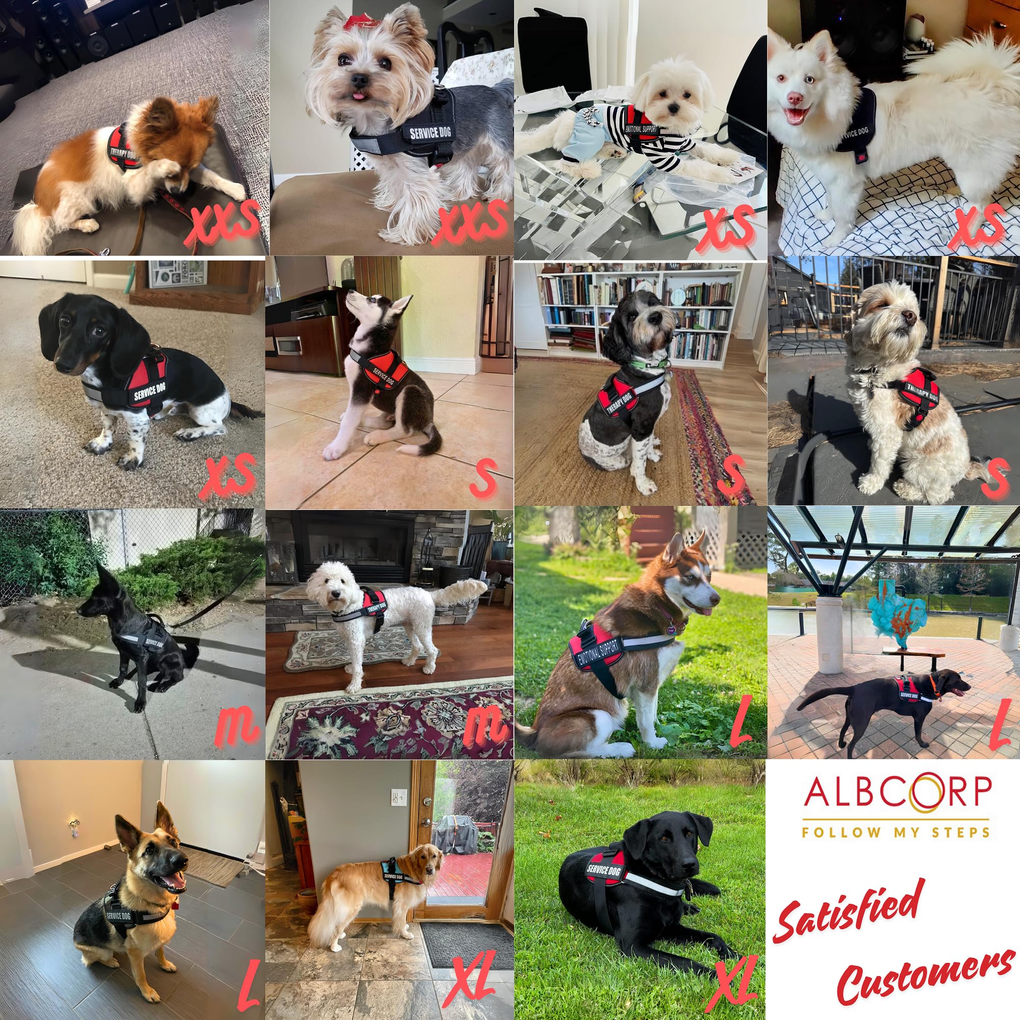 ALBCORP Service Dog Vest Harness - Reflective - Woven Polyester and Nylon, Comfy Mesh Padding - Sizes from XXS to XL β Service Dog Patches Included. Red Camo, Large