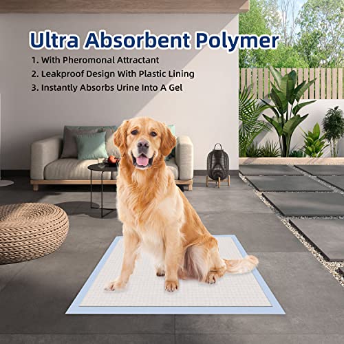 HONEY CARE All-Absorb, Large 22" x 23", 100 Count, Dog and Puppy Training Pads, Ultra Absorbent and Odor Eliminating, Leak-Proof 5-Layer Potty Training Pads with Quick-Dry Surface, Blue, A01