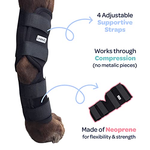 Labra Dog Extra Supportive Canine Rear (Hind) Leg Hock Joint Compression Wrap for Recovery, Protection, and Sprain and Injury Prevention, Ankle Brace with Knee Support for Dogs - Large