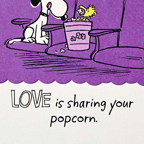 Hallmark Anniversary Card (Peanuts Vignette) (0399RZB1111)