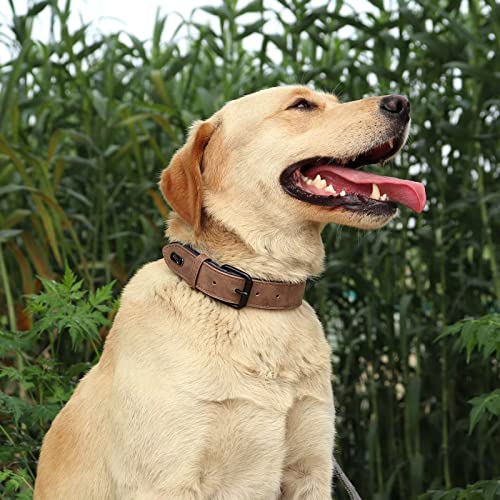 Didog Soft Padded Leather Dog Collar, Breathable Heavy Duty Dog Collar Leather with Adjustable Rust-Proof Metal Buckle for Small Medium Large Dogs (L: Total Length 20", Fit 14-17" Neck, Brown)