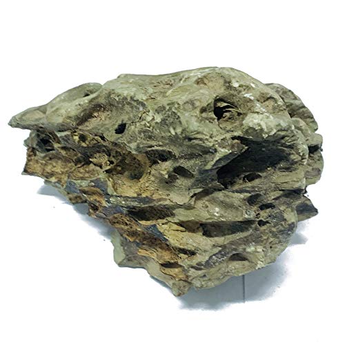 ZYYRT Natural Stone Aquarium Decoration 4.4 lb Dragon Stone Rock Mixed Sizes for Micro Landscape Fish Tank Decor
