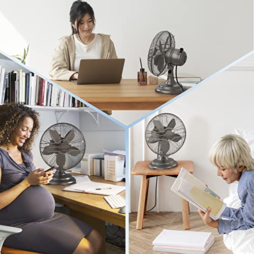 Lasko Oscillating Table Top Fan, Portable, 3 Quiet Speeds, for Bedroom, Kitchen and Office, 17", Bronze, R12210