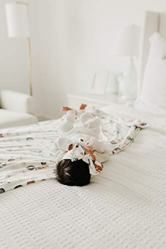 Large Premium Knit Baby Swaddle Receiving Blanket"Jo" by Copper Pearl