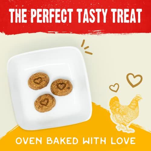 Stella & Chewy’s Freeze-Dried Raw Coated Dog Biscuits – Cage-Free Chicken Recipe – Protein Rich, Grain Free Dog & Puppy Treat – Great Snack for Training & Rewarding – 9 oz Bag