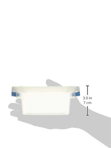 STERILITE Mini Clip Box Clear Base & Lid Aquarium Blue Latches