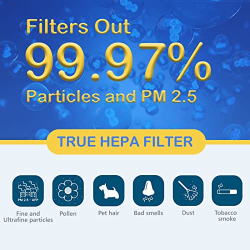 C545 True HEPA Replacement Filter S Compatible with Winix C545, B151, P150, 9300 Air Purifier, Replaces Winix Filter S 1712-0096-00 and 2522-0058-00, 2 HEPA Filter + 8 Carbon Filter