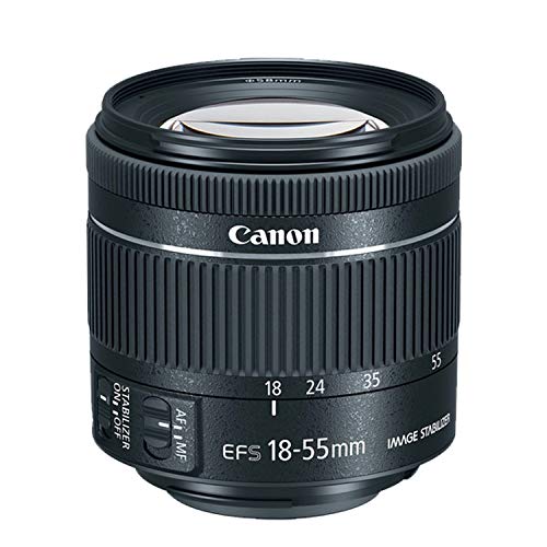 Canon EOS Rebel SL3 DSLR Camera w/EF-S 18-55mm F/4-5.6 STM Zoom LensĀ + 64GB Memory, Case, Tripod, Flash, Remote, and More (32pc Bundle)