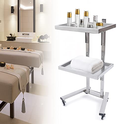 DNYSYSJ Beauty Salon Stand Rolling Cart, 2 Tier Spa Beauty Machine Holder Trolley, Salon Storage Trolley Stand, for Salons Studios Shops Medical Shops and Dentists