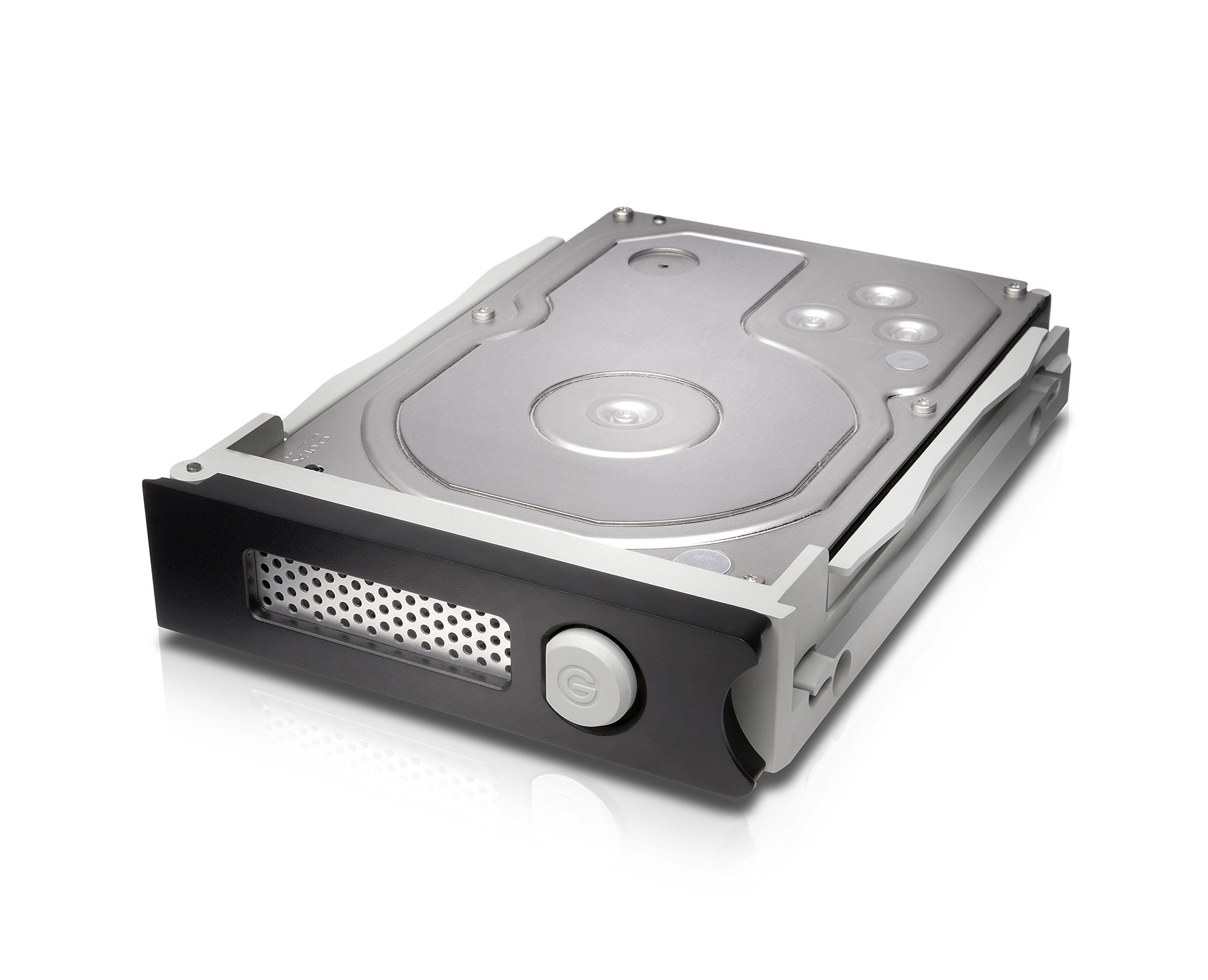 G-Technology 12TB G-RAID with Thunderbolt 2 and USB 3.0, Removable Dual Drive Storage System, Silver - 0G04093-1