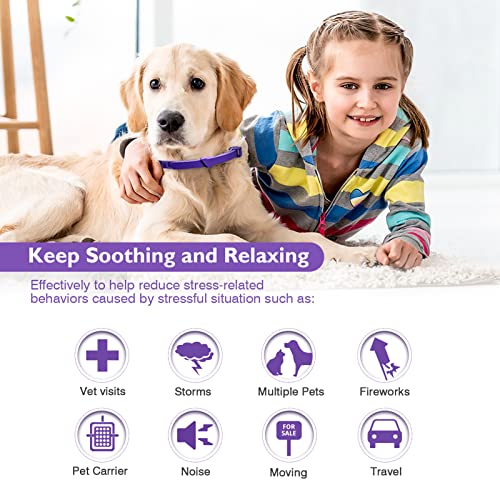 Dogs Calming Pheromones Collar 3 Packs Lasts 60 Days Relieve Reduce Anxiety or Stress 25 Inches Adjustable Relaxing Comfortable Collar Breakaway Design for All Small Medium and Large Dog