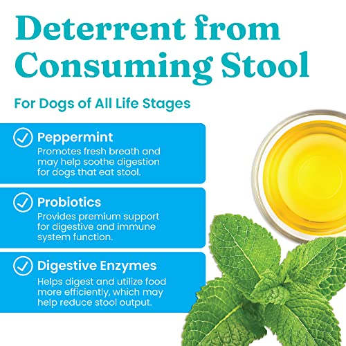 Solid Gold Stop Eating Poop Soft Chews for Dogs with Coprophagia - Natural Holistic Deterrent for Dogs Eating Poop - Grain Free Supplement Chews & Powder with Peppermint & Parsley Oil - 60 Count