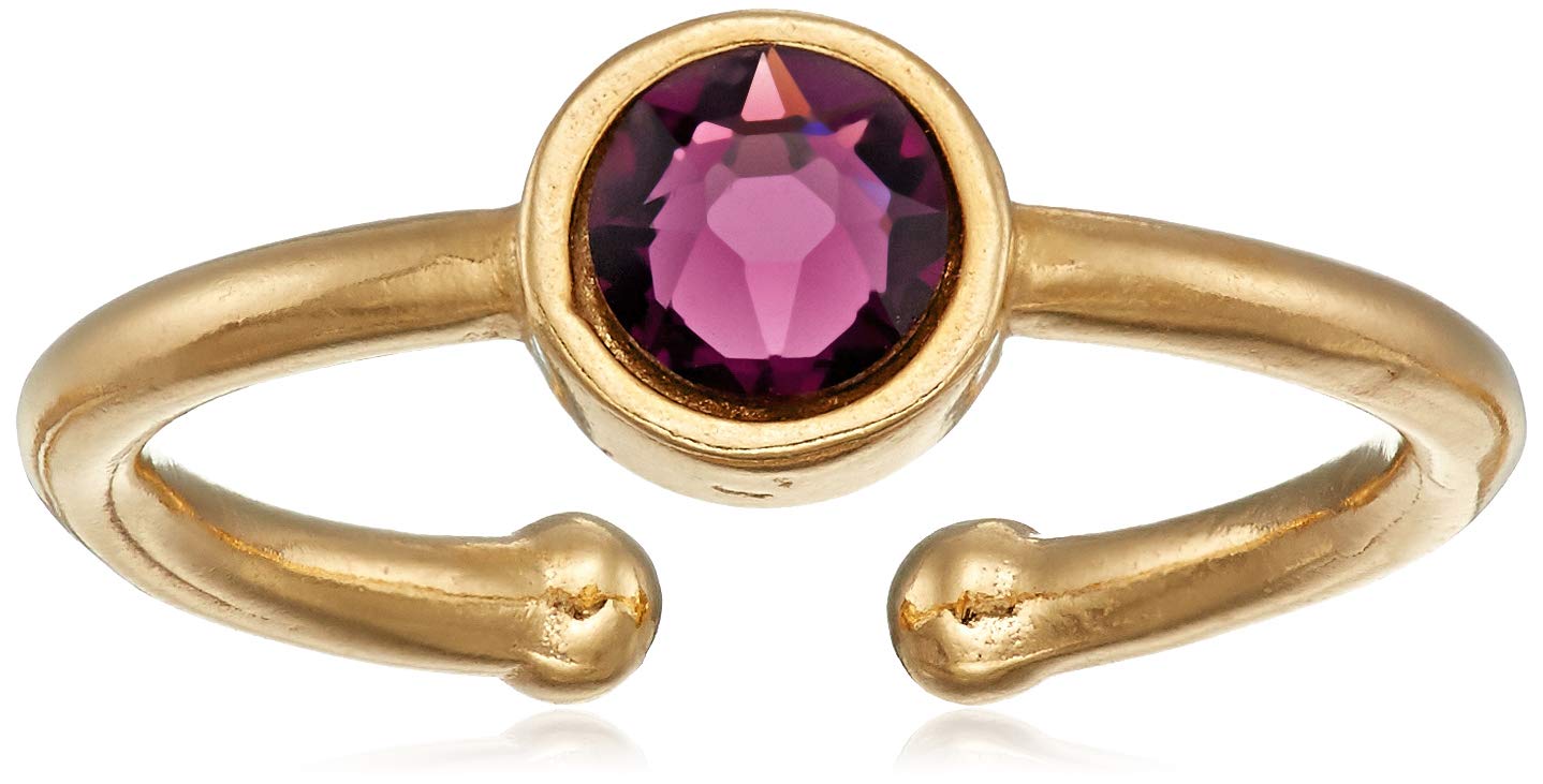 Alex and Ani Women's Swarovski Color Code Adjustable Ring February Amethyst Color, 14kt Gold Plated