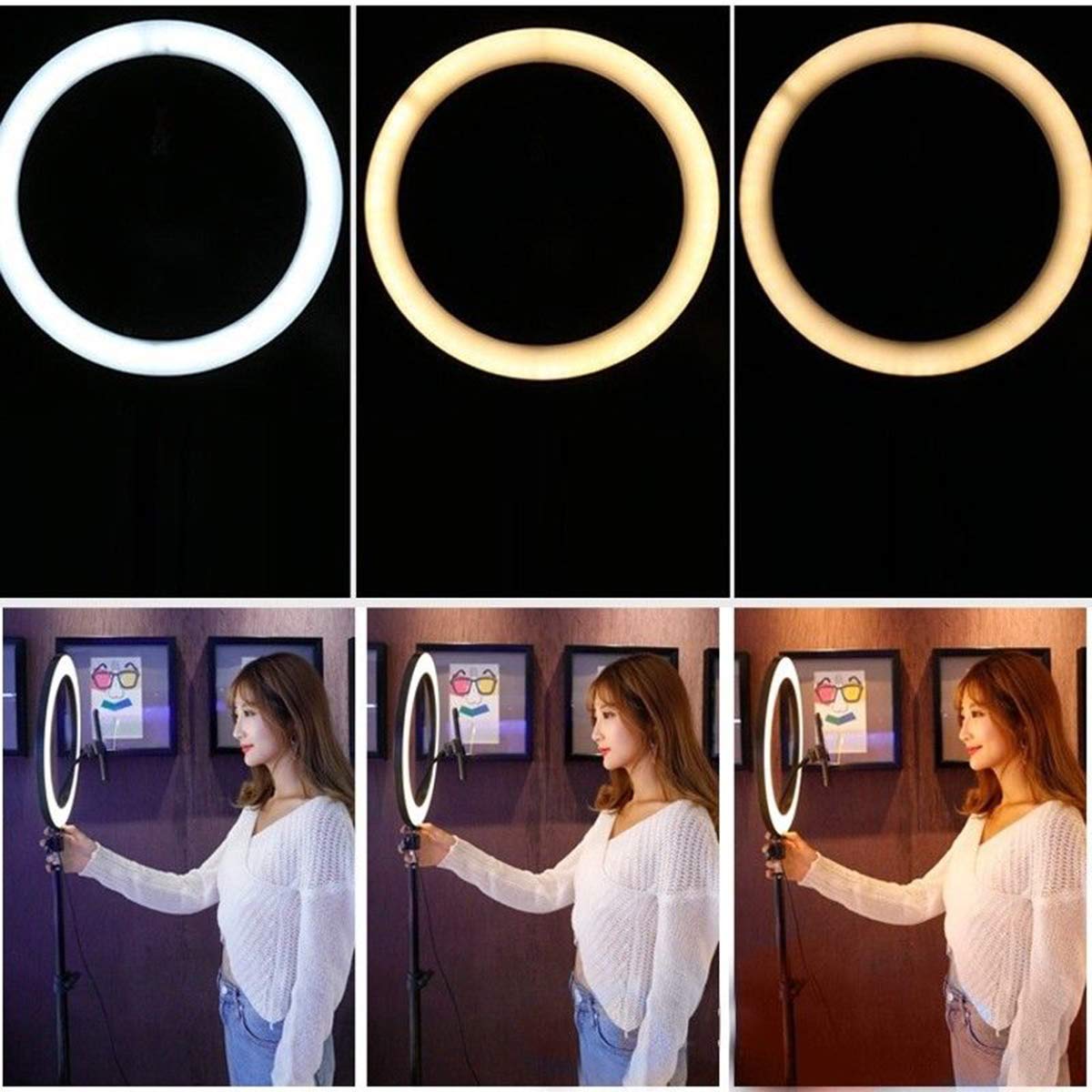 Fealay 26cm Studio Live Led Ring Light With Phone Holder 120cm Ring Light Kit Foldable Tripod Kit Adjustable 360 Rotation for Phone Selfie Light Beauty Photograph