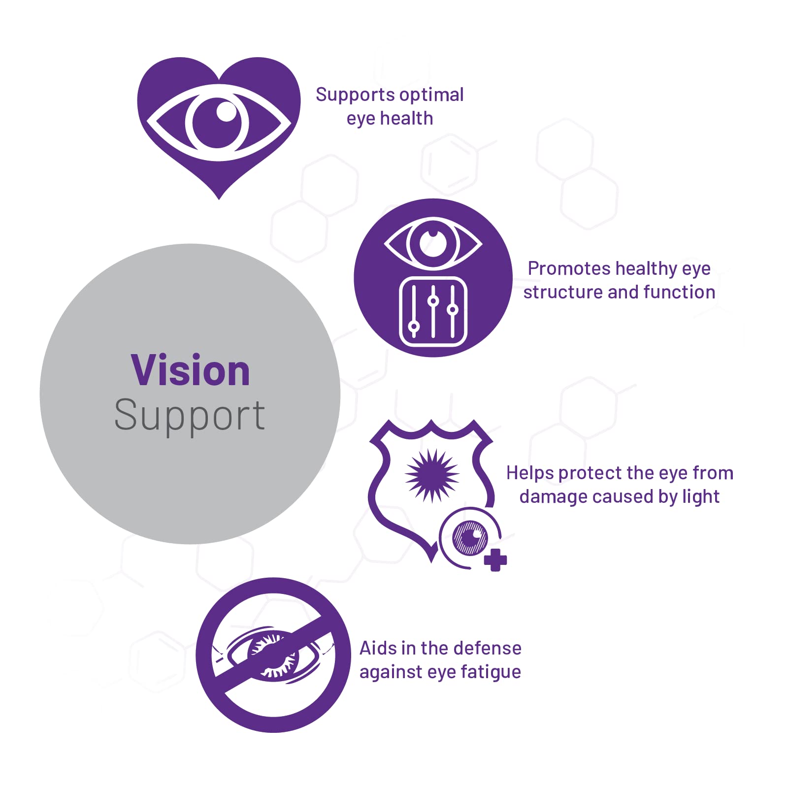 AOR, Vision Support II, Natural Supplement to Support Eye Health, with Lutein and Zeaxanthin, Gluten Free, 60 Softgels (30 Servings)