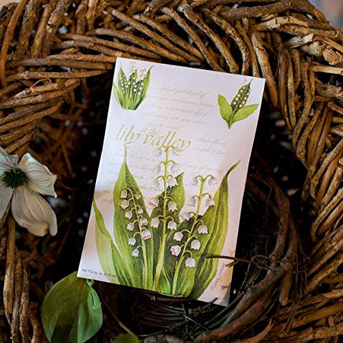Fresh Scents Scented Sachets - Lily of the Valley, Lot of 6