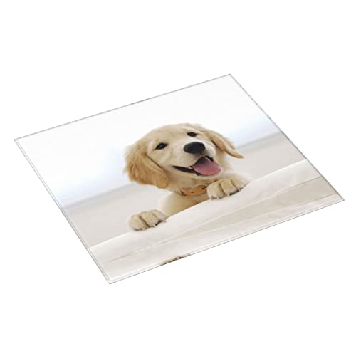 Golden Retriever Puppies Printed Drying Mat For Kitchen Ultra Absorbent Microfiber Dishes Drainer Mats Non-Slip Silicone Quick Dry Pad - 18 X 16inch