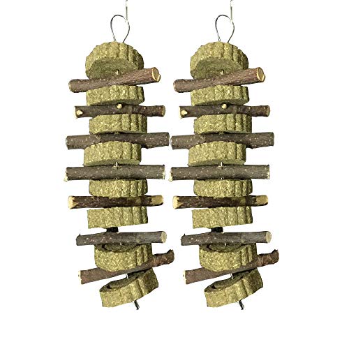 Shelltech Rabbit Chew Toys, Apple Twigs with Timothy Cakes Hanging Toys for Bunny, Rabbits, Chinchilla, Guinea Pigs, Hamsters (Timothy Cake - 2 Pack)