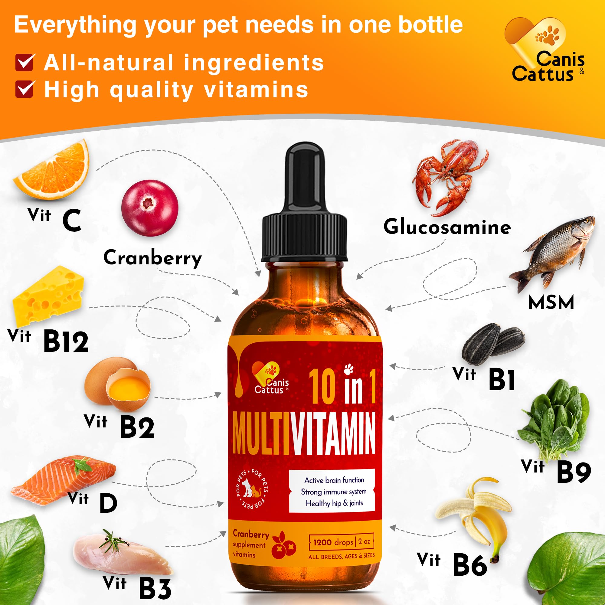 Cat Antibiotic | Dog Antibiotic | Kennel Cough | Cat Probiotic | Dog Vitamins and Supplements | Liquid Probiotics for Dogs | Dog Cough Suppressant | Bundle | 4 Pack