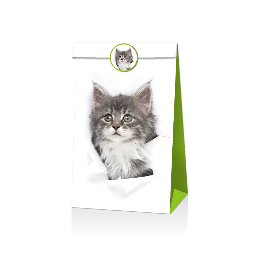 Cat Bag,Kitty Cat Party Supplies,Pet Cat Birthday Theme,Girls,Boys,Kids,Home,Classroom,Baby Shower?24Pack)?
