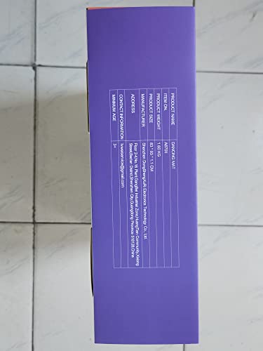 Acelufly Dance Mat, Eletrionic Dance Mat with Multiple Modes, Non-slip Dance Mat for TV with HD Camera, Musical Dance Game Mat for Girls Boys, Christmas/Birthday/Valentine's Day Gifts for Kids Adults