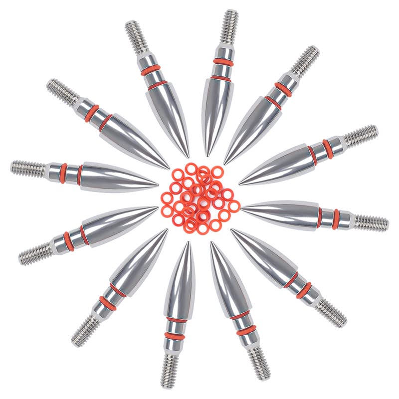 Alinbehbs Field Points Arrowheads 100 Grain Field Points, Stainless Steel Archery Field Points, Screw in Archery Field Points Tips (1 Dozen 12PCS)
