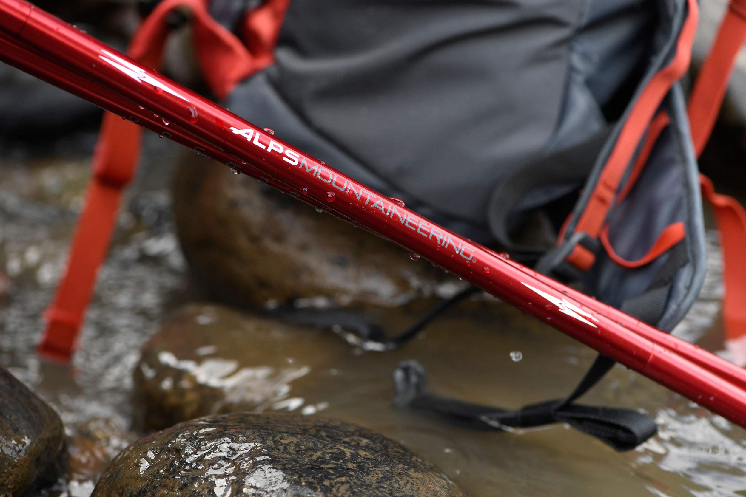 ALPS Mountaineering Momentum Trekking Pole