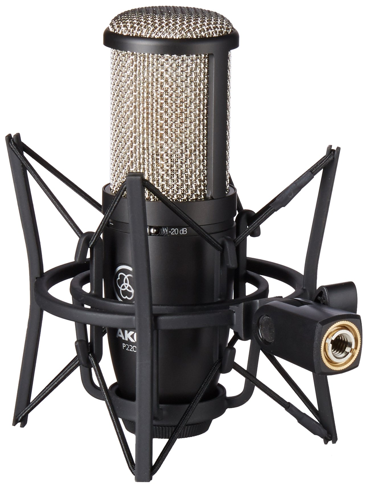 AKG Pro Audio Pro Audio Perception 220 Professional Studio Microphone, Silver Blue