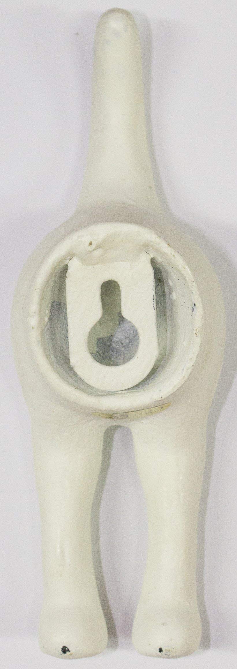 Cast Iron Dog Tail Shaped Wall Hook (White)