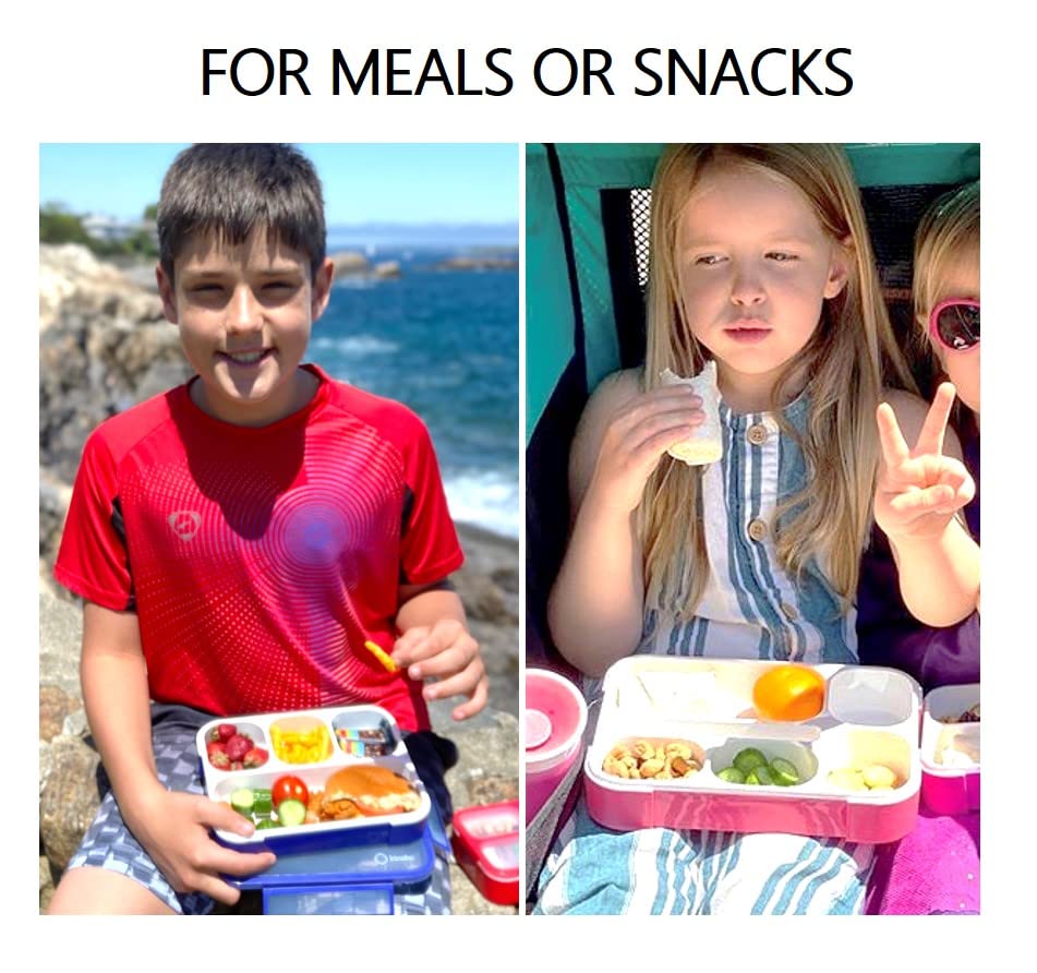 Bento Lunch-Box for Kids and Adults: Leakproof Lunch Boxes with 4 Compartments, Divided Containers for Boys Girls Women Men - School Work Portion Container, Utensils, Blue + Rose Pink Set
