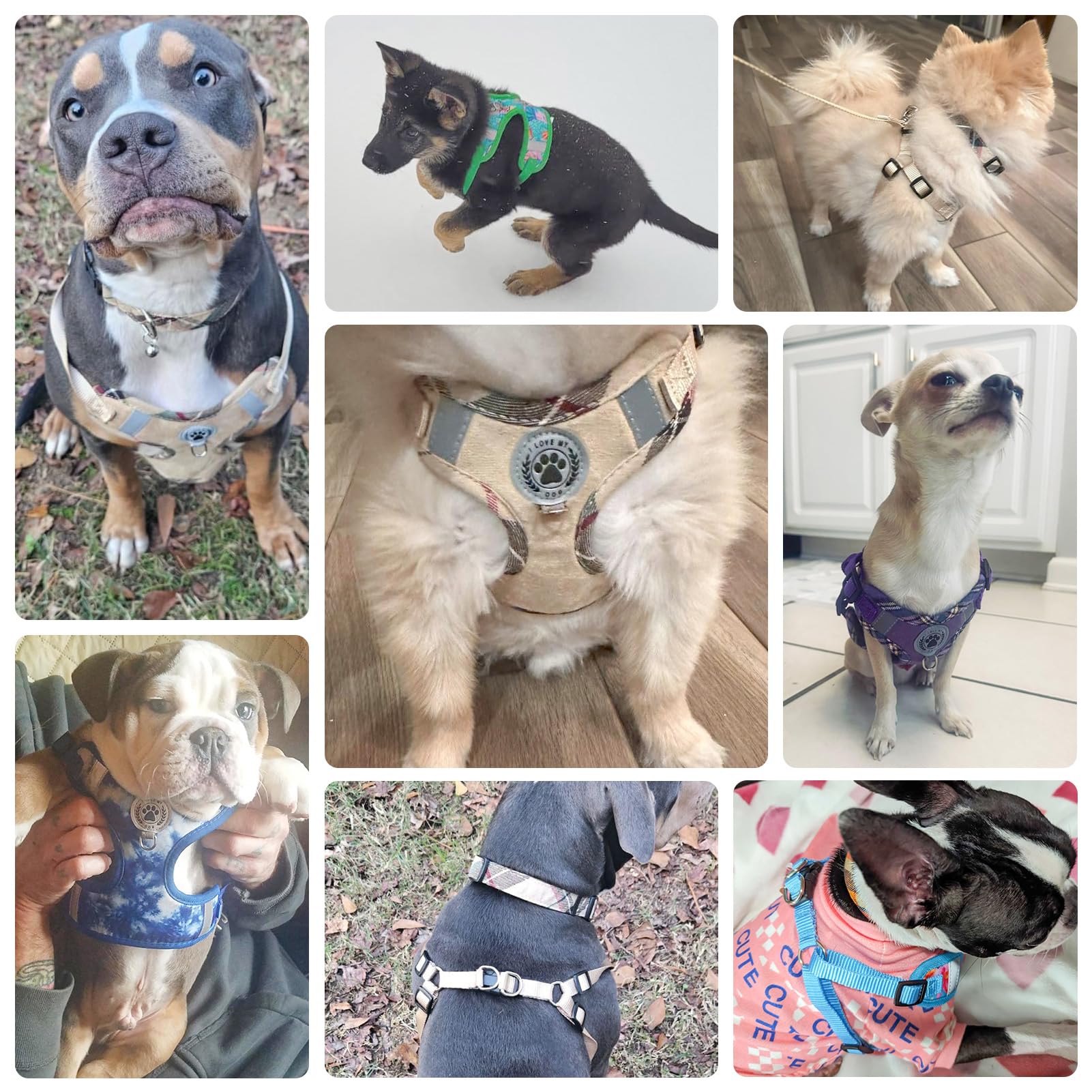 BEAUTYZOO Dog Harness Small Sized, Step in No Pull Dog Harness Collar and Leash Set, Easy Walking Reflective Vest for Small Dogs, Adjustable Soft Mesh Padded Puppy Harnesses Pet Accessories, Blue S