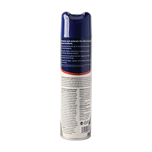 Guardsman 461900 Weather Defense Outdoor Wood Furniture Protector-10 Repels Moisture and Stains-461900, 10 Fl Oz, Clear