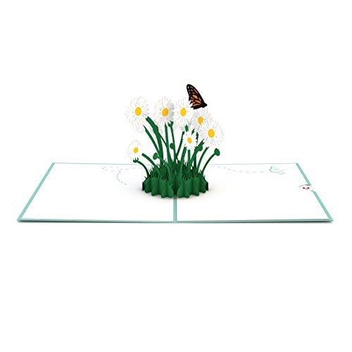 Lovepop Daisy Patch Pop Up Card - 3D Card, Greeting Card, Flower Card, Anniversary Card, Mother's Day Card, Birthday Card, Appreciation Card (Retiring Design)