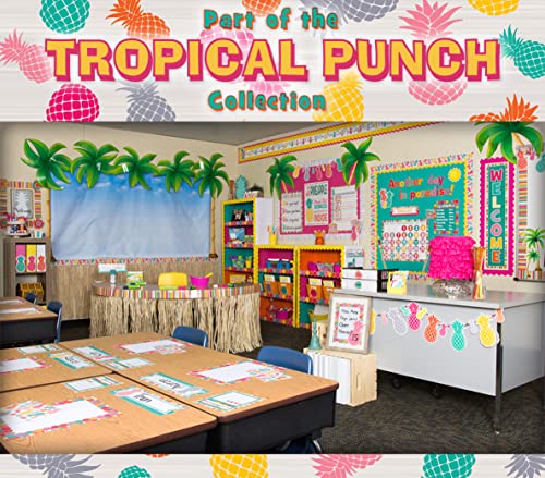 Teacher Created Resources Tropical Punch Pineapples Magnetic Accents