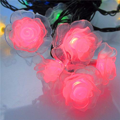 Solar String Lights 20/30/50/100LED Solar Rose String Lights Starry FairyWaterproof for Christmas Outdoor Indoor Gardens Homes Wedding Holiday Party (Emitting Color : Warm White)