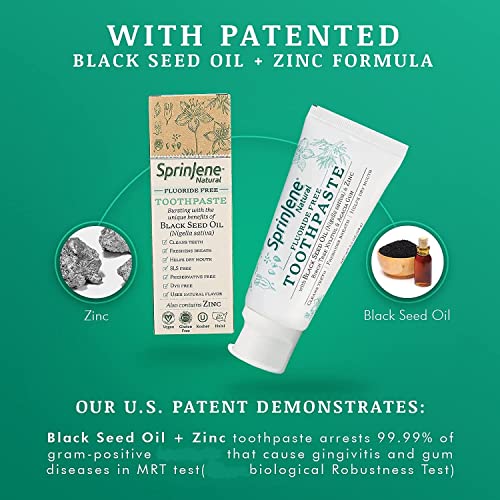 SprinJene Natural Fluoride Free Toothpaste for Clean and Strong Teeth and Gums, Fresh Breath, and Helps Dry Mouth - Vegan, Dye-Free, SLS Free Toothpaste for Adults 2 Pack (Original)