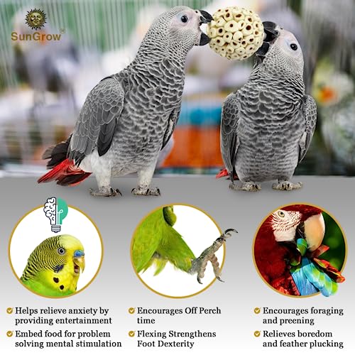 SunGrow Sola Atta Foraging Balls, 2β, White Soft Shred Parrot Chews, Bird Chewing Accessories for Conure, Budgie, Parakeet, Cockatiel, Rabbits, Hamsters, and Other Small Pets, 3 Pcs/Pack