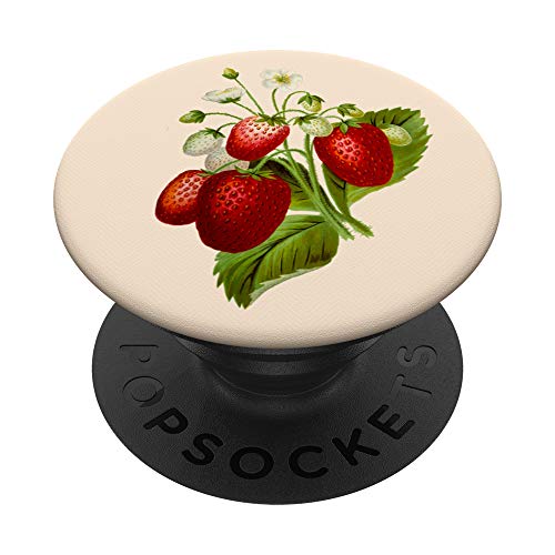 Strawberry Pink Vintage Cottagecore Aesthetic PopSockets PopGrip: Swappable Grip for Phones & Tablets