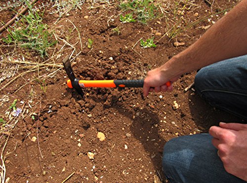 TABOR TOOLS Pick Mattock with Fiberglass Handle, Garden Pick, Great for Loosening Soil, Archaeological Projects, and Cultivating Vegetable Gardens or Flower Beds. J62A. (Small 15 Inch)