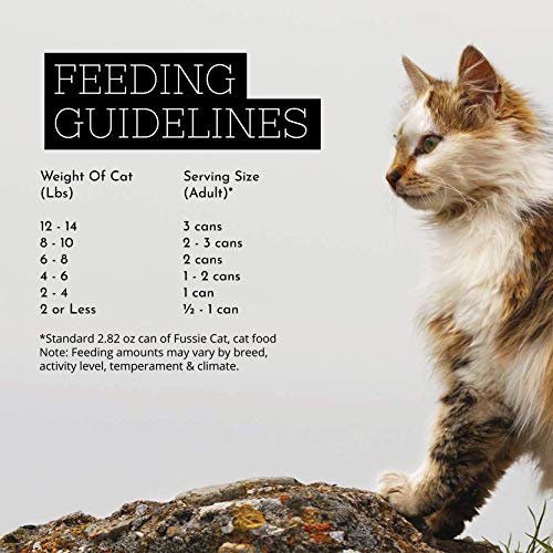 Fussie Cat Premium Tuna with Chicken in Aspic Grain-Free Wet Cat Food Count of 24,(Pack of 1)