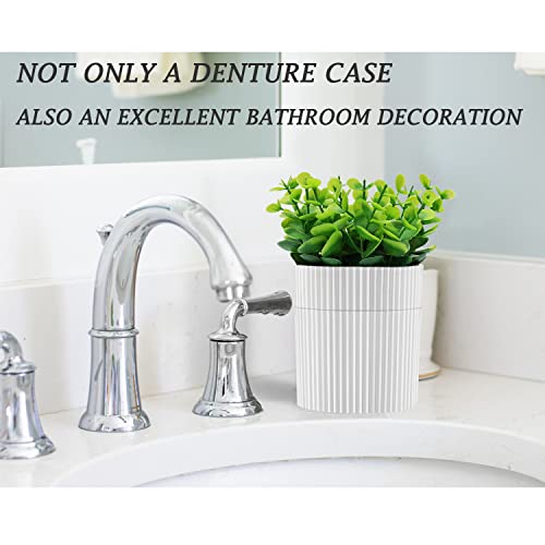 Denture Bath, Invisible Denture Case Designed As Artificial Eucalyptus Potted Plants, Denture Cup With Strainer For Retainer, Mouth Guard & Dentures, Perfect For Home Decorationā¦