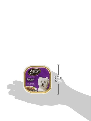 CESAR Adult Soft Wet Dog Food Filets in Gravy, Filet Mignon Flavor, 3.5 oz. Tray