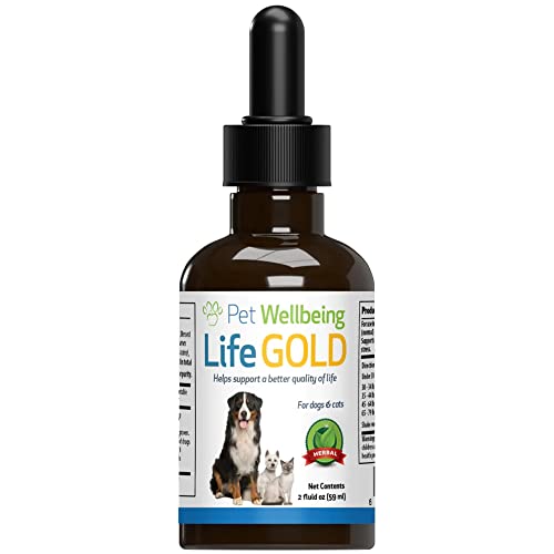 Pet Wellbeing Life Gold for Cats - Vet-Formulated - Immune Support and Antioxidant Protection - Natural Herbal Supplement 2 oz (59 ml)
