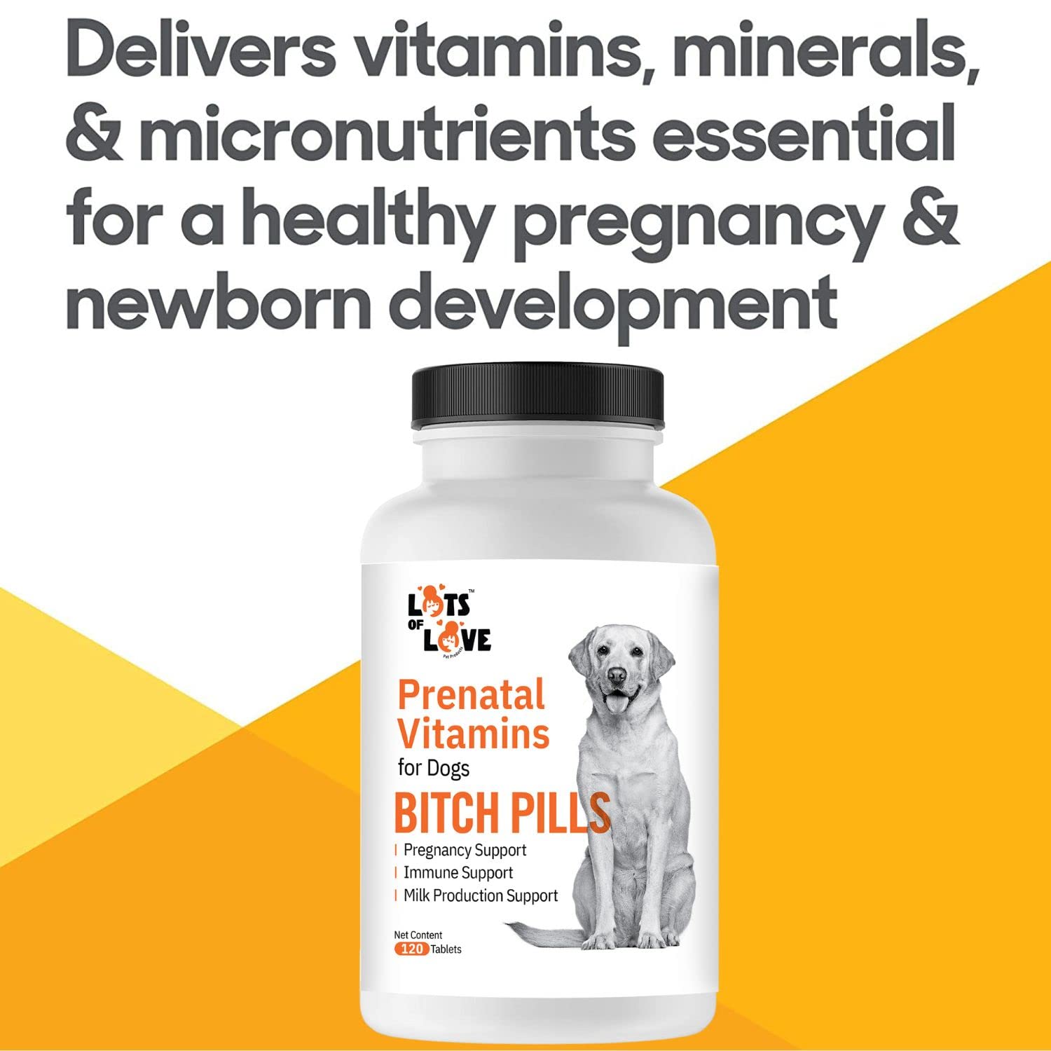 Bitch Pills - Prenatal Dog Vitamins - 90 Tablets