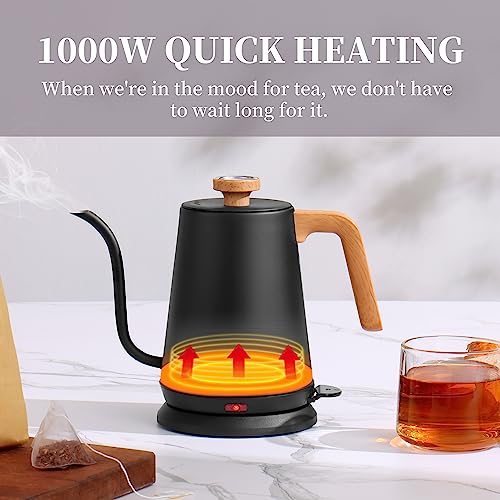 Nueve&Five Gooseneck Electric Kettle with Thermometer, Black Electric Kettle 1L with Auto Shut-Off,1000W Hot Water Kettle of Stainless Steel, Pour Over Kettle for Coffee & Tea