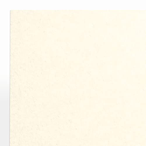 LUXPaper 8.5" x 11" Cardstock | Letter Size | Champagne Metallic | 105lb. Cover (192lb. Text) | 50 Qty
