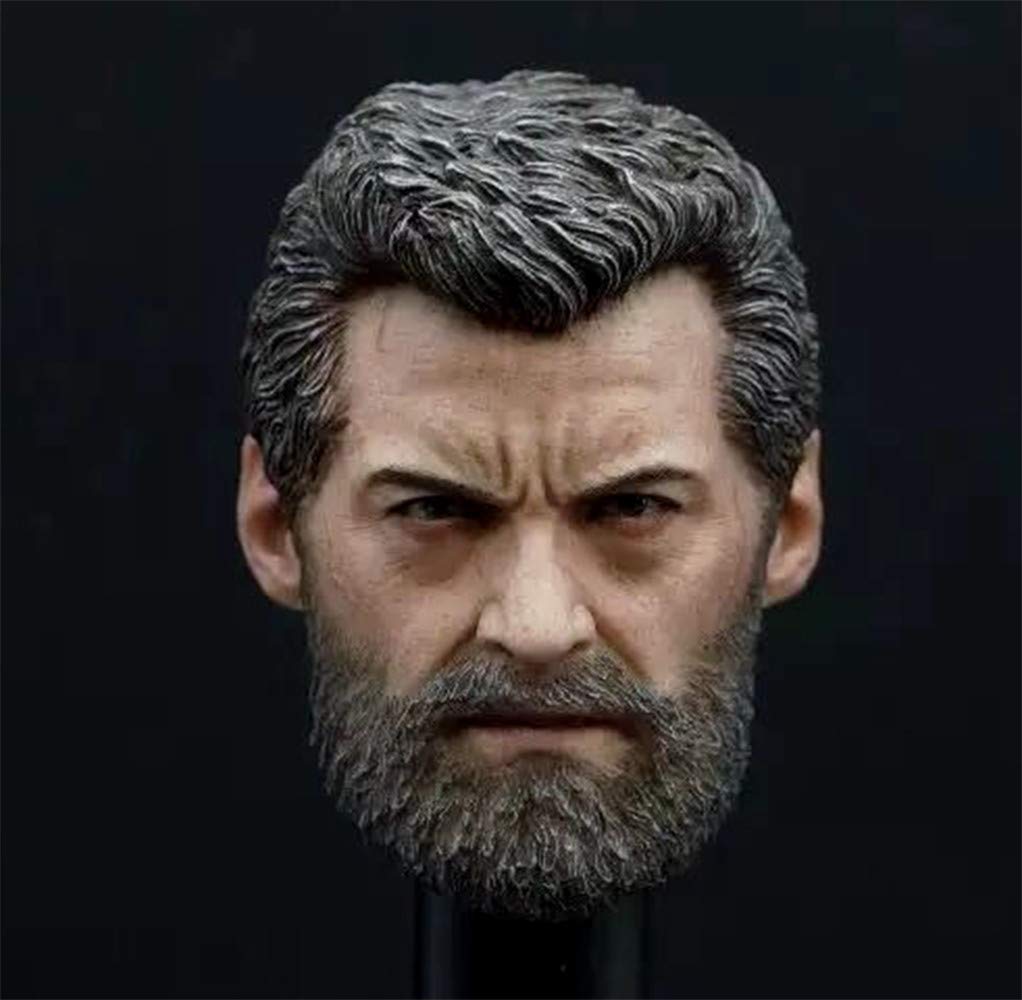 HiPlay 1/6 Scale Male Figure Head Sculpt, Handsome Men Tough Guy, Doll Head for 12 inch Action Figure HS011(B)