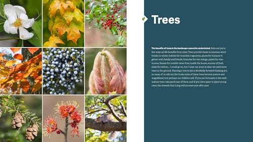 The Northeast Native Plant Primer: 235 Plants for an Earth-Friendly Garden