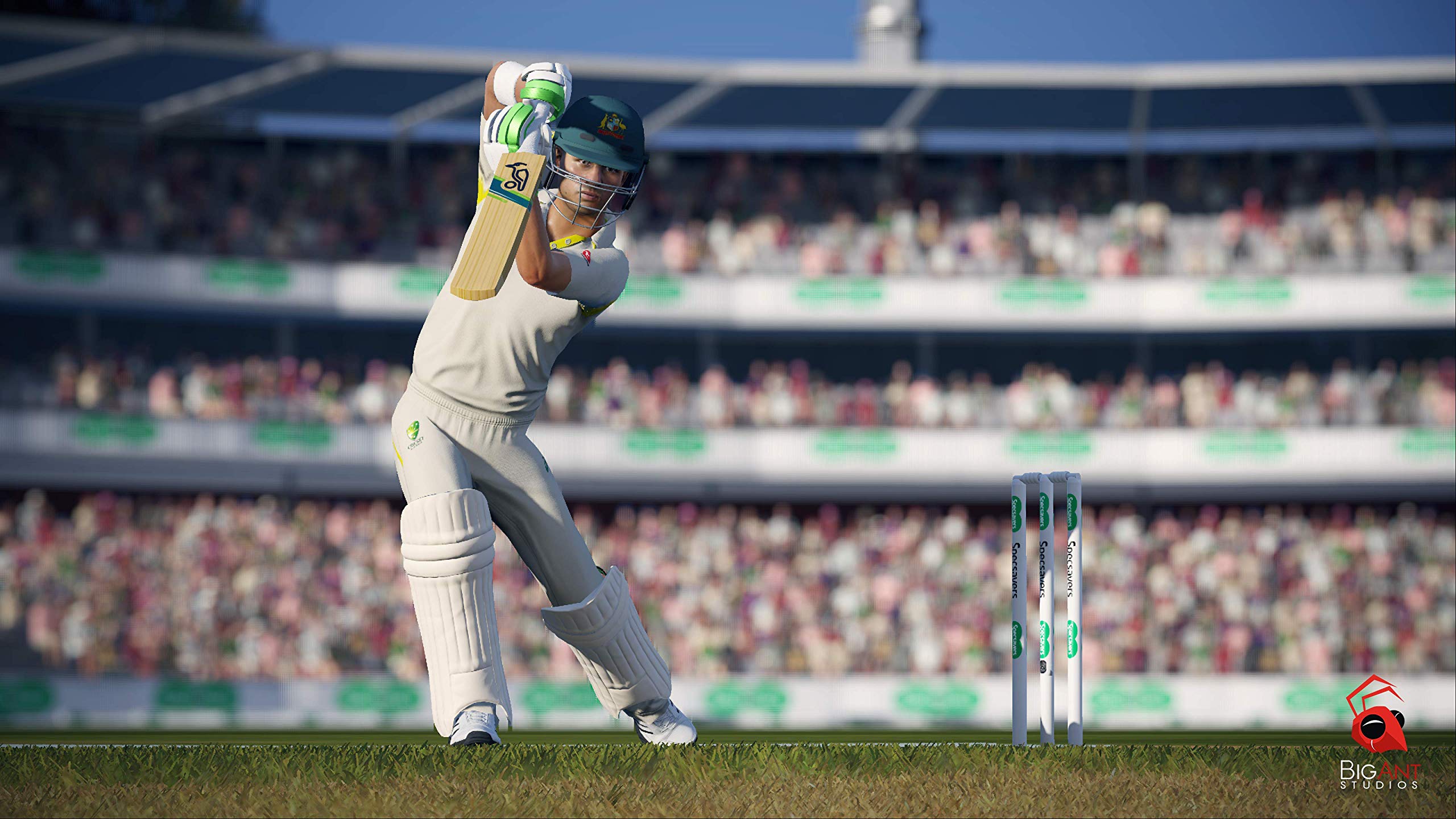 Cricket 19 - The Official Game of the Ashes - PlayStation 4 (PS4)